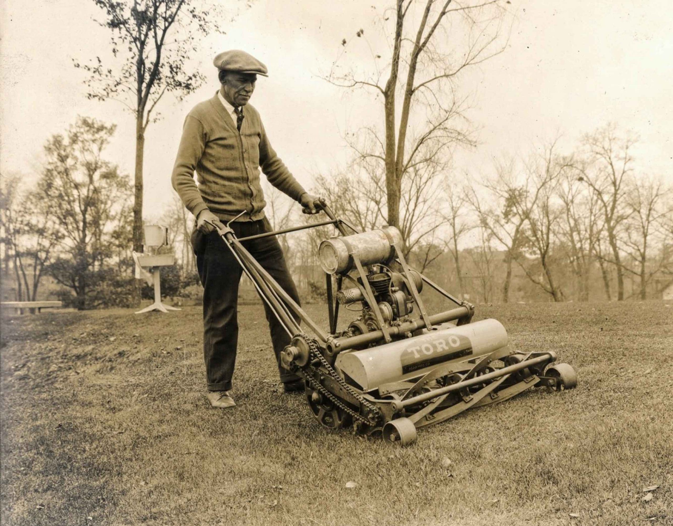 Behind the Brand: Exploring the History and Evolution of Toro Dingo ...