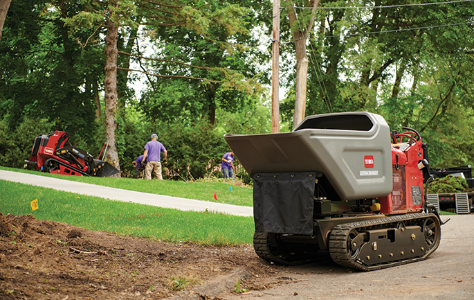 Your Essential Siteworks Guide: Understanding The Siteworks Dingo, Its ...